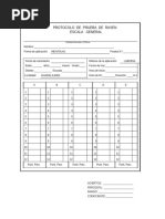 Protocolo de Prueba Raven: Formato y Diagnóstico | PDF