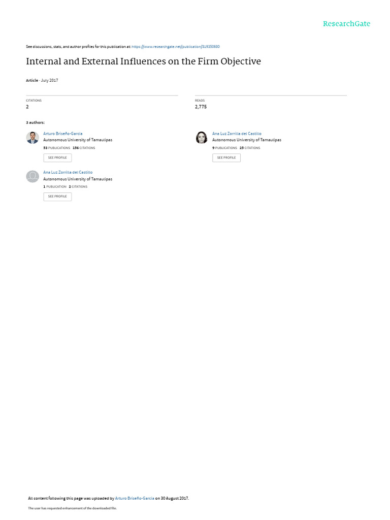 Internal and External Influences On The Firm Objective | PDF | Social Network | Identity (Social ...