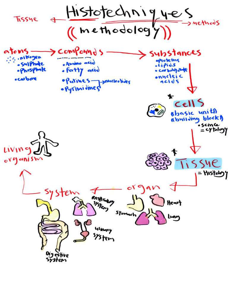 Histotechniques Lecture 1 | PDF | Staining | Histopathology