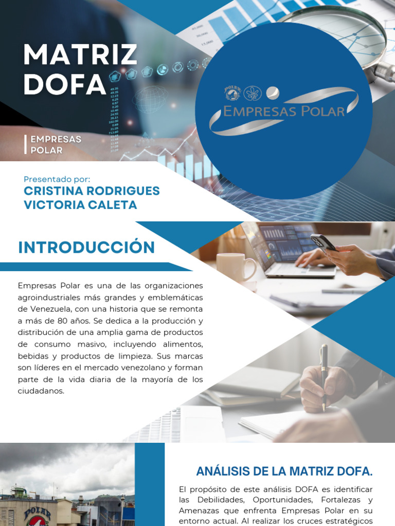 Matriz Dofa - Empresas Polar PDF | PDF | Marketing | Cadena de suministro