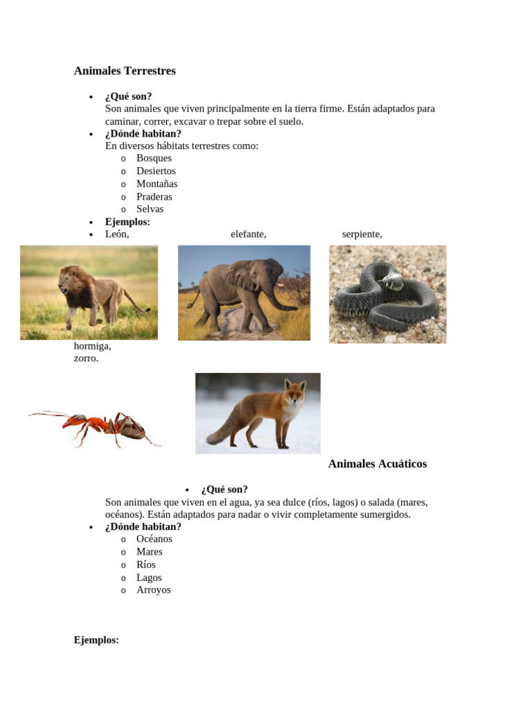 Animales Terrestres, Acuáticos y Aéreos | PDF