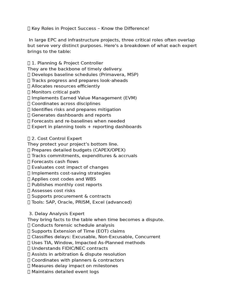 ? Key Roles in Project Success | PDF