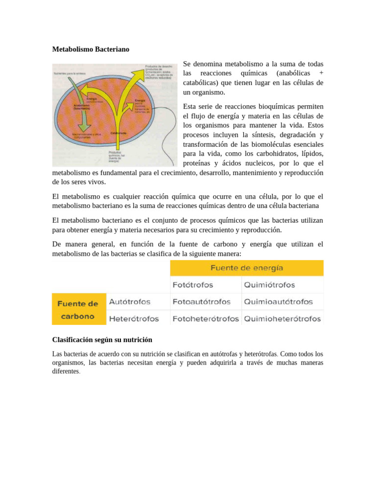 Metabolismo Bacteriano Cristhian Isaac+ | PDF | Metabolismo | Fotosíntesis