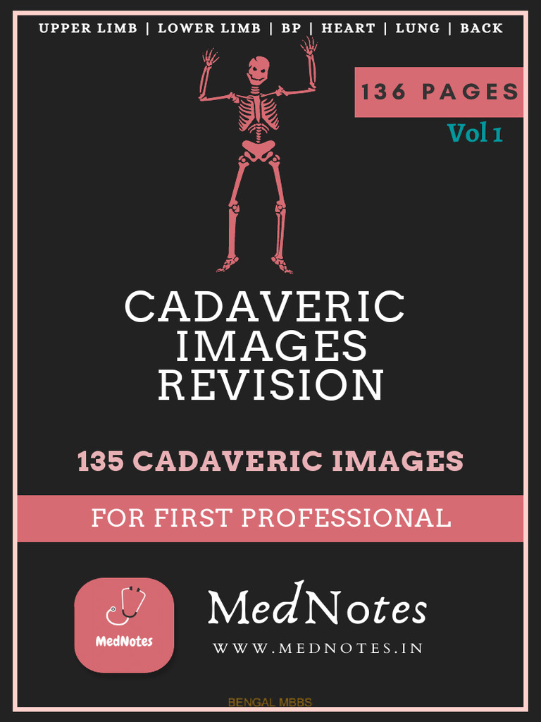 Cadaveric Images for Anatomy Revision | PDF