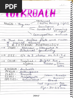 Insect Body Segmentation Guide | PDF | Insects | Arthropodology