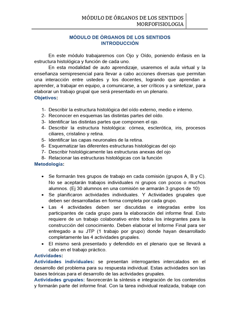 Modulo de Autoaprendizaje Organos de Los Sentidos | PDF | Ojo ...