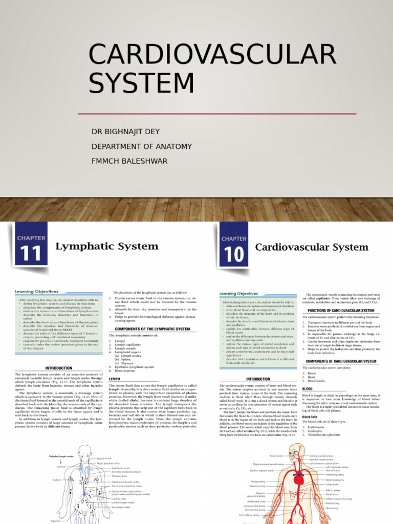 Cardiovascular System 1 | PDF