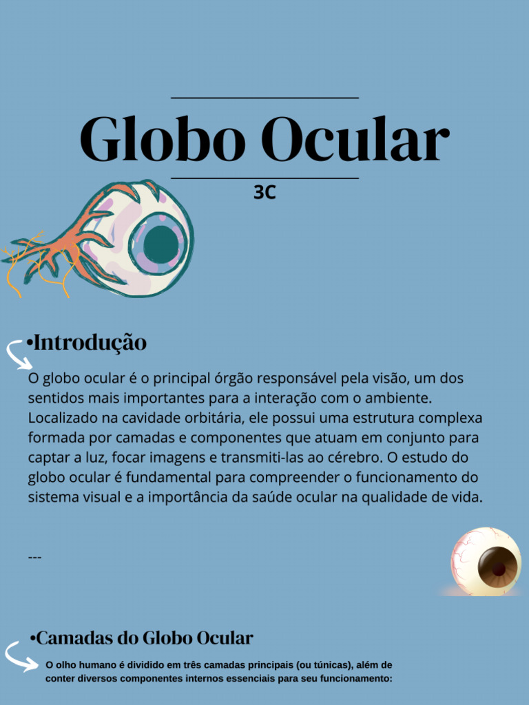 Globo Ocular, 3C-1 | PDF