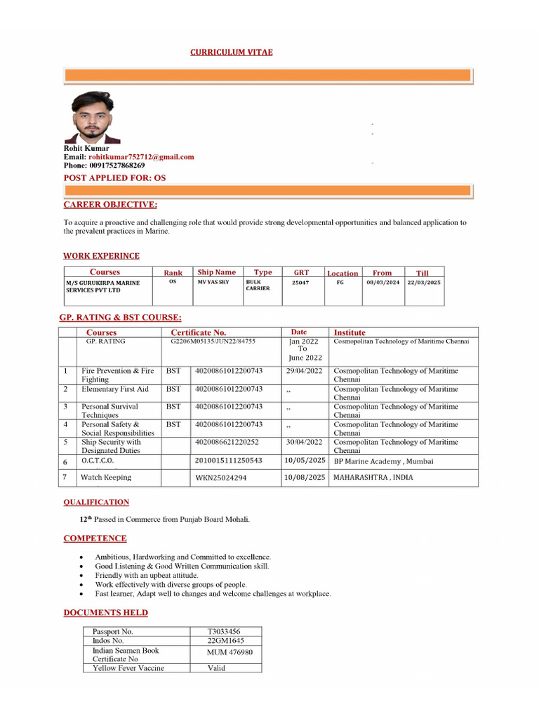 Rohit Kumar CV - 250704 - 132021 | PDF