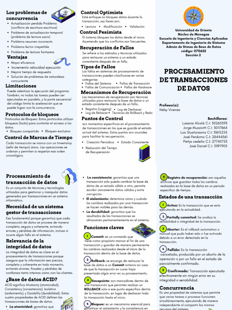 Procesamiento de Transacciones de Datos-1 | PDF