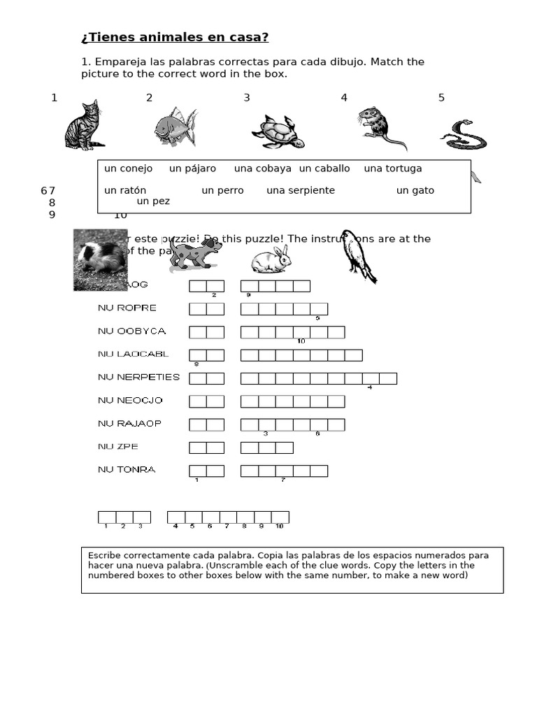 Tienes Animales en Casa Worksheet | PDF