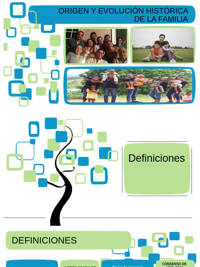 Evolución Histórica de la Familia | PDF | Familia | Parentesco