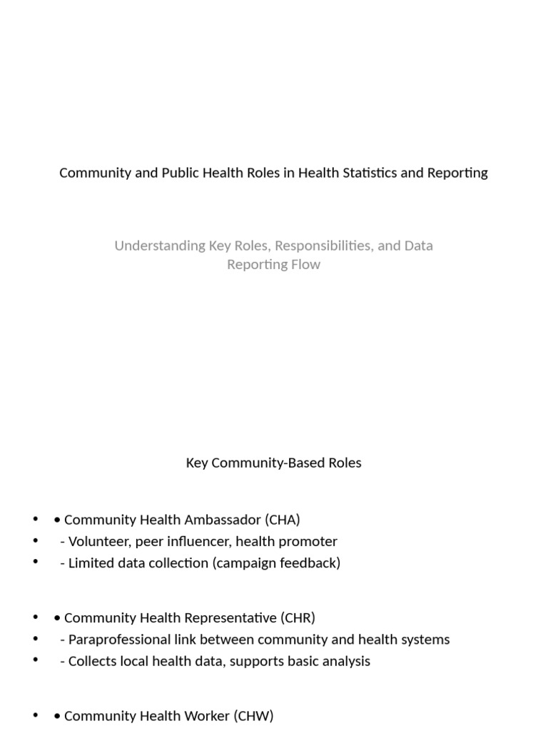 Community Health Roles Presentation Enhanced | PDF | Data | Information ...