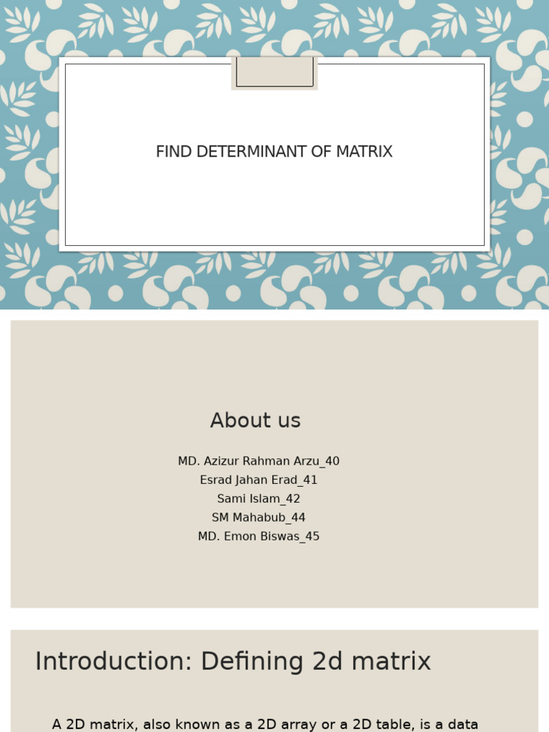 Find Determinant of Matrix | PDF