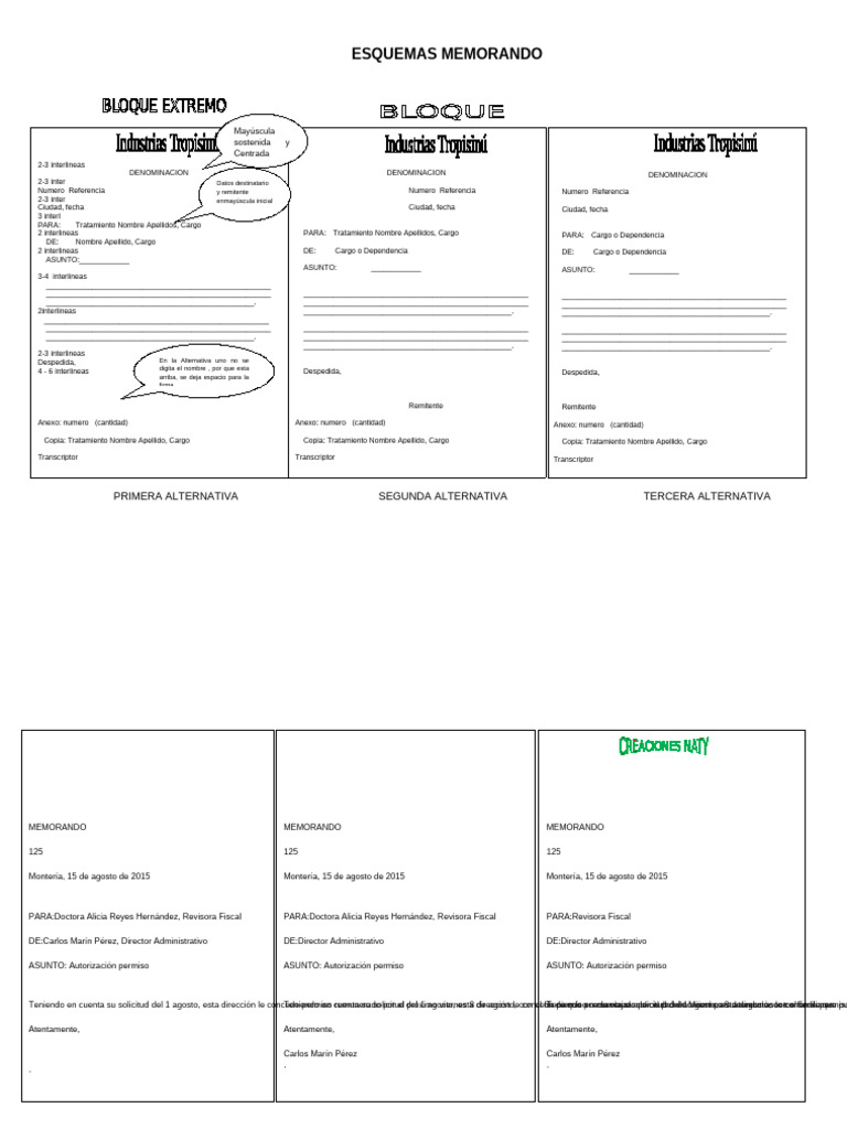 Esquemas Memorando | PDF