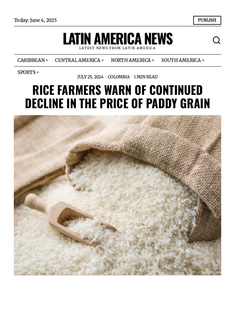 Rice Farmers Warn of Continued Decline in The Price of Paddy Grain ...