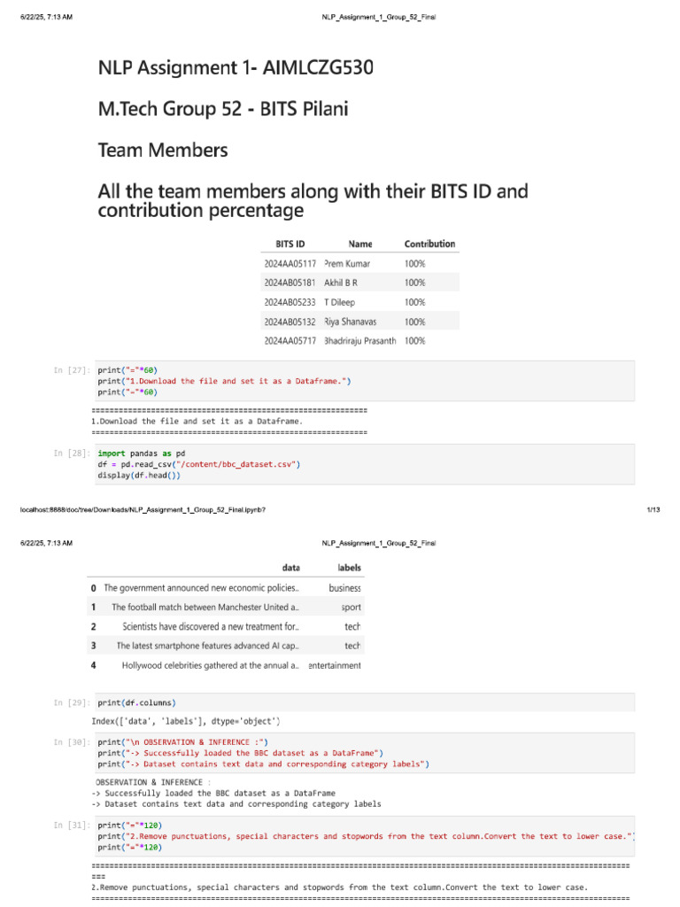 NLP Assignment 1 Group 52 Final S | PDF