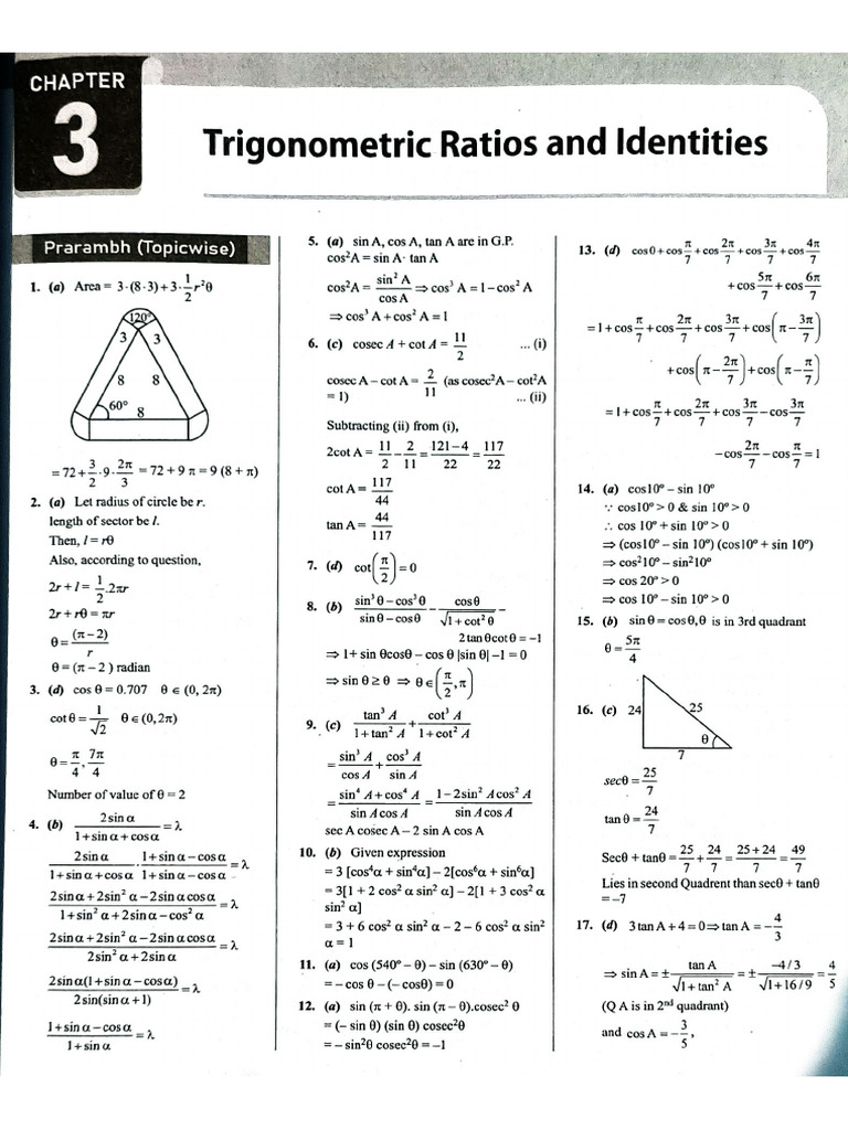 11th (Trigo 1) | PDF