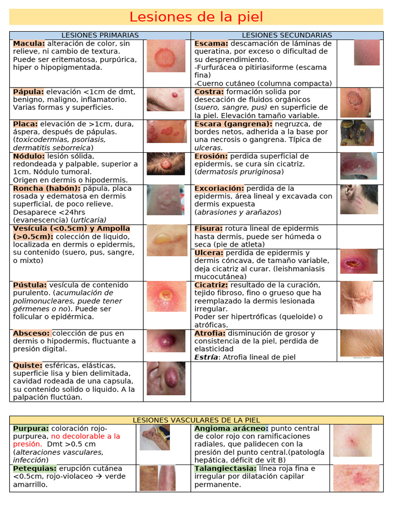 Escama Pitiriasiforme en Lesiones Cutáneas | PDF | Piel | Epidermis