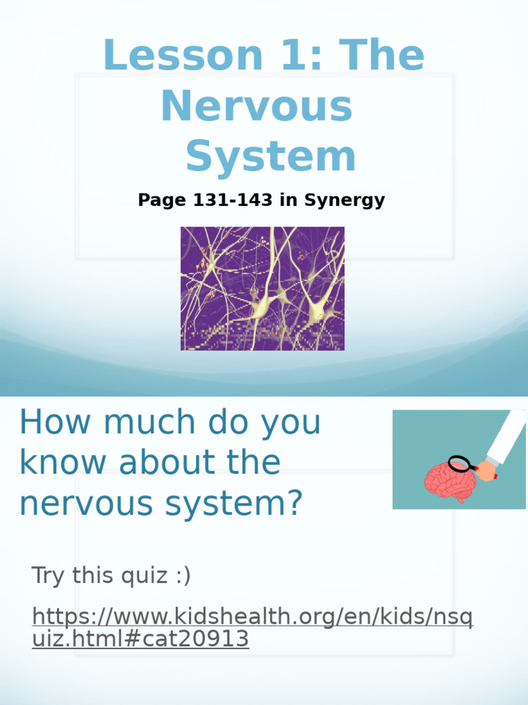 (2025) Lesson 1 Introduction To The Nervous System | PDF | Central ...
