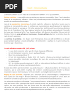 Anatomie du diaphragme stylien | PDF | Tête et cou chez l'humain ...