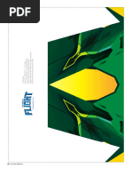 Foldable Flight's Incredible Paper Airplanes | PDF | Aviation | Aircraft