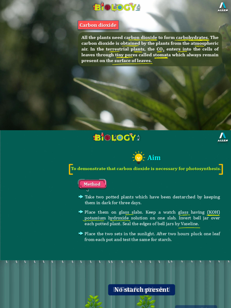 21 04 22 Co2 Activity DR Garima | PDF