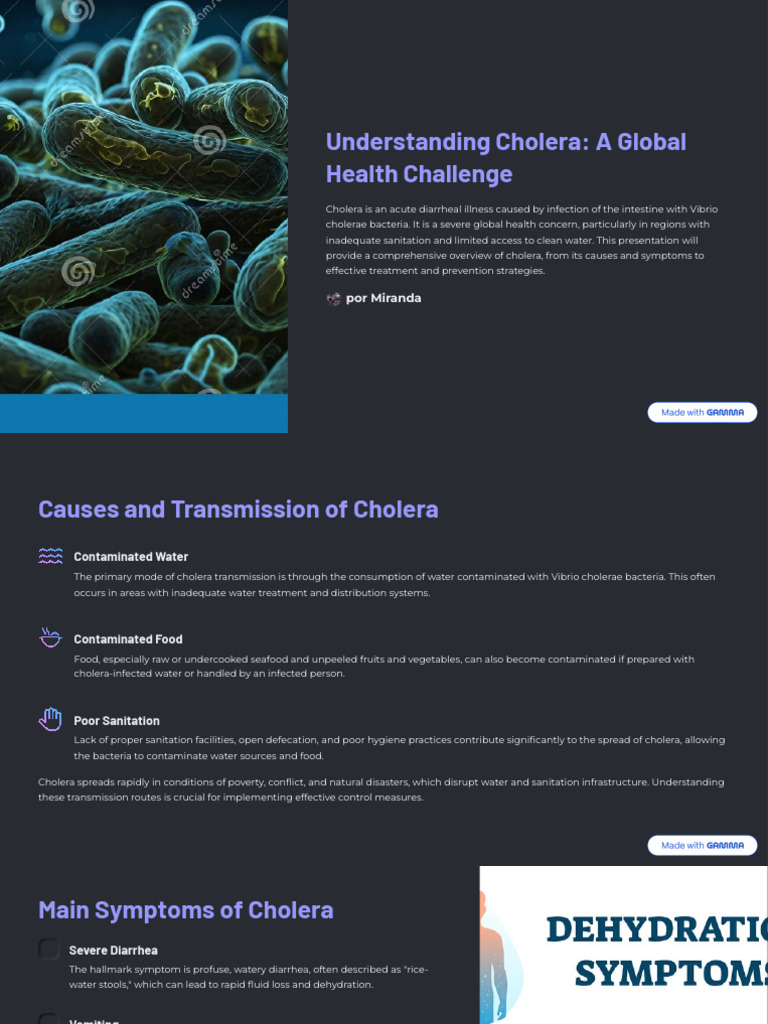 Understanding Cholera A Global Health Challenge | PDF | Cholera | Diarrhea