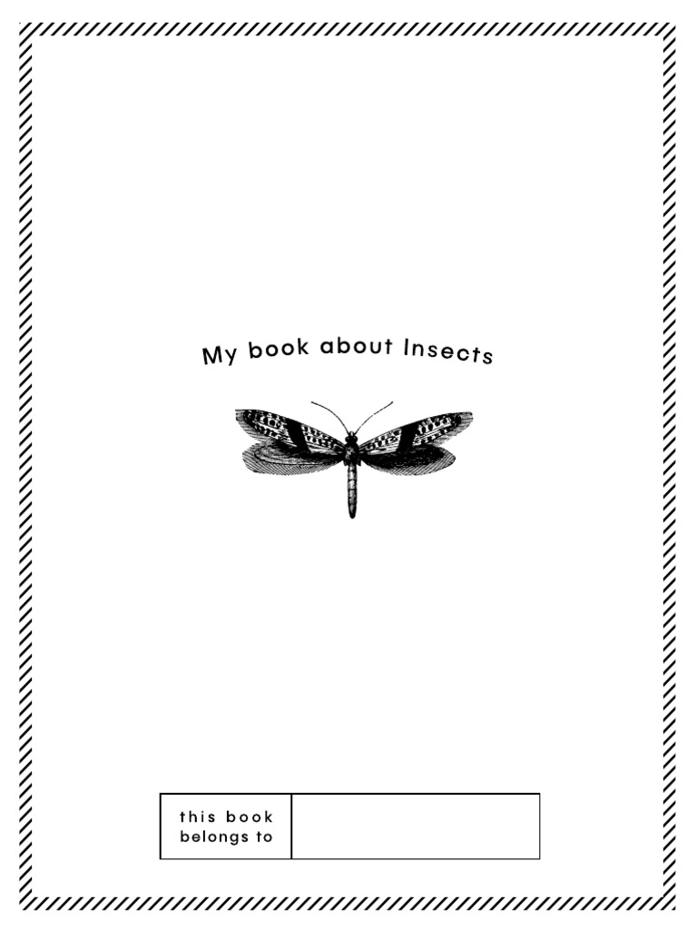 Preschool Insect Workbook | PDF