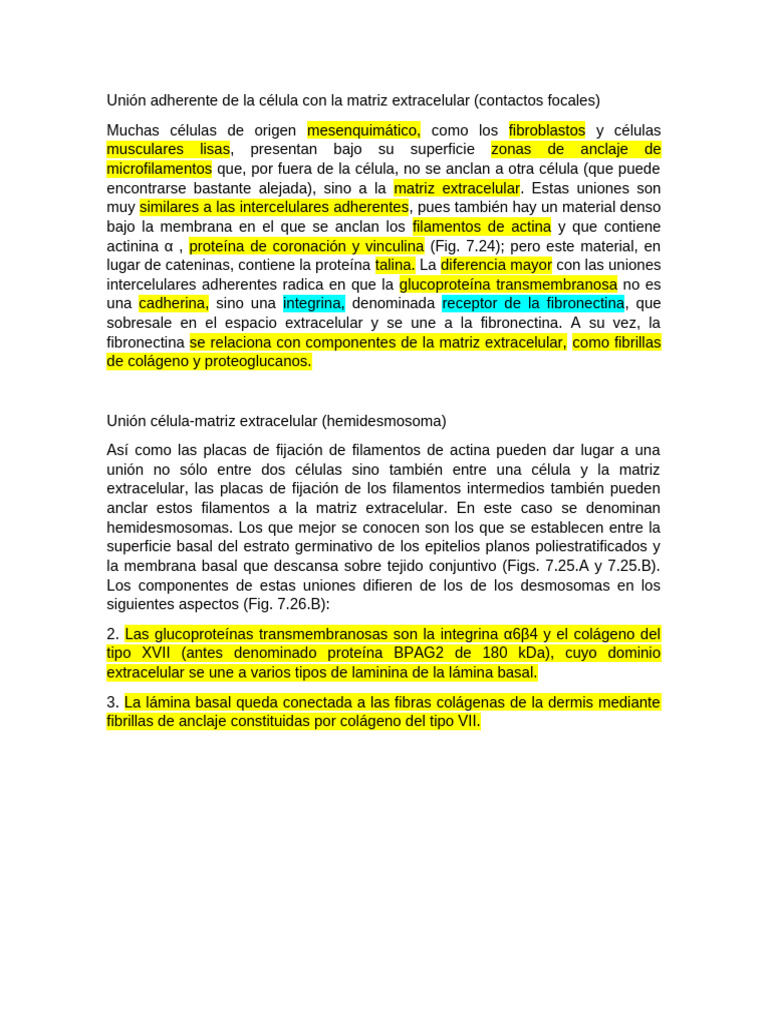 Unión Adherente de La Célula Con La Matriz Extracelular | PDF