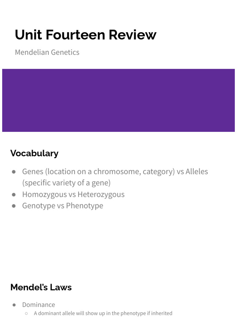 Mendelian Genetics Review Guide | PDF
