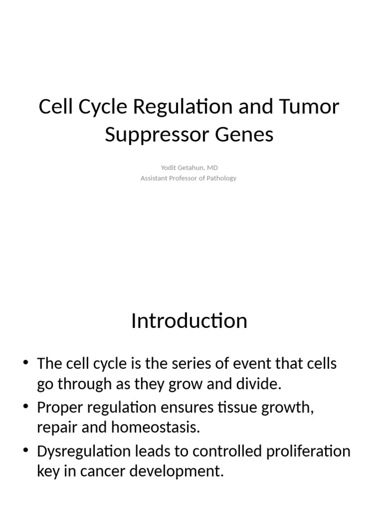 Cell Cycle Regulation and Tumor Suppressor Genes | PDF | Cell Cycle ...