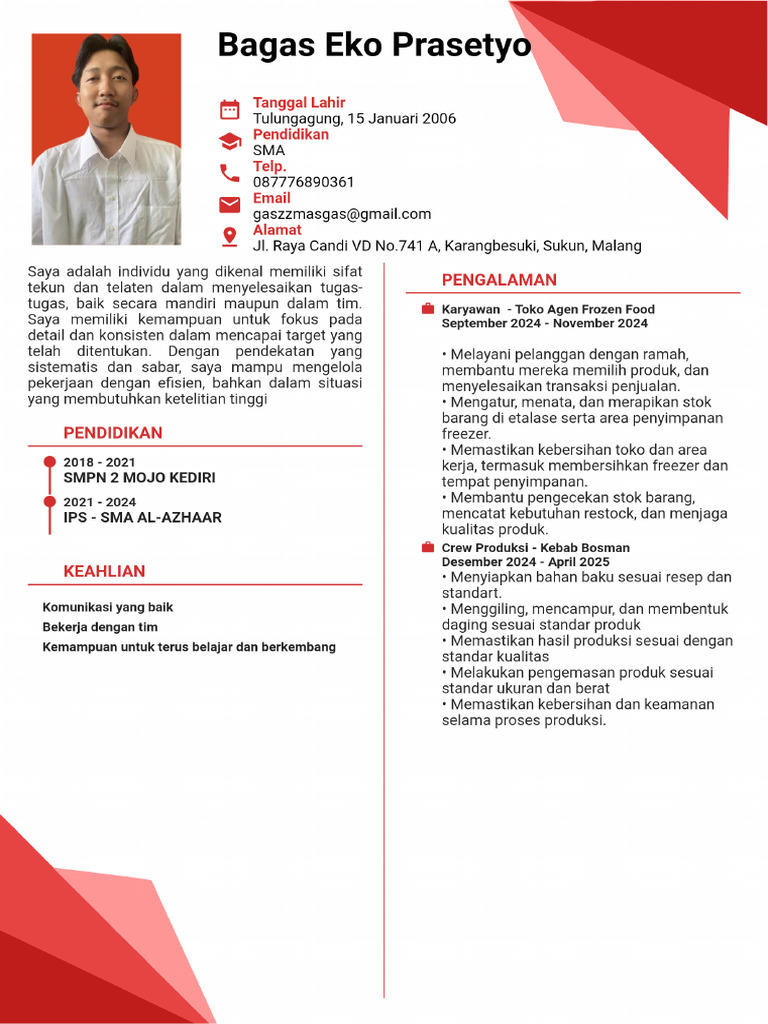 CV Bagas | PDF