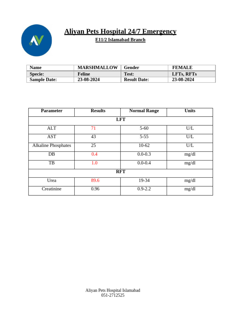 Marsmallow Cat LFTS, Rfts Report 23.08.2024 | PDF