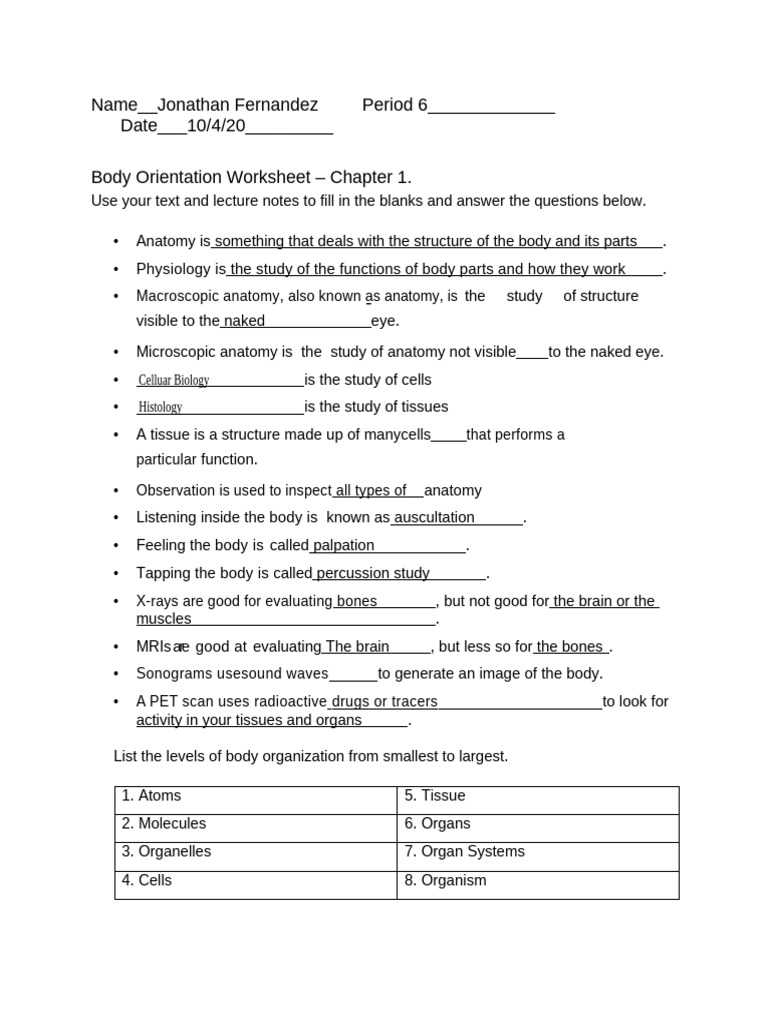 Anatomy Unit 1 Assignment (Completed) | PDF | Human Body | Anatomy