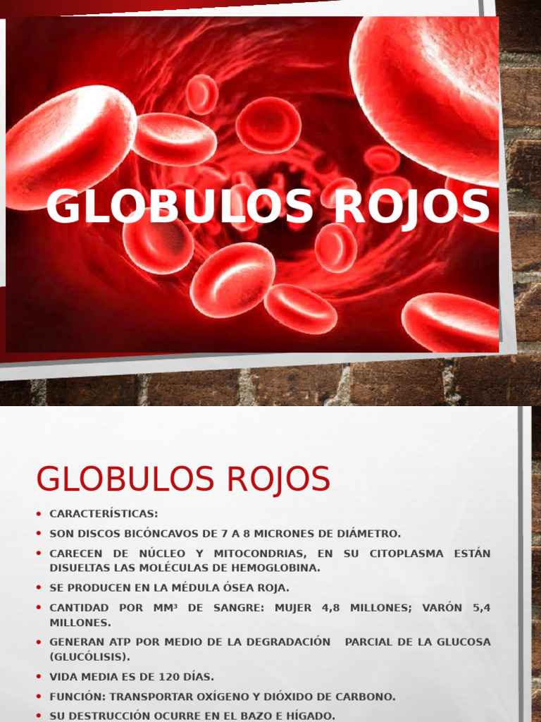 Globulos Rojos | PDF | Glóbulo rojo | Sangre