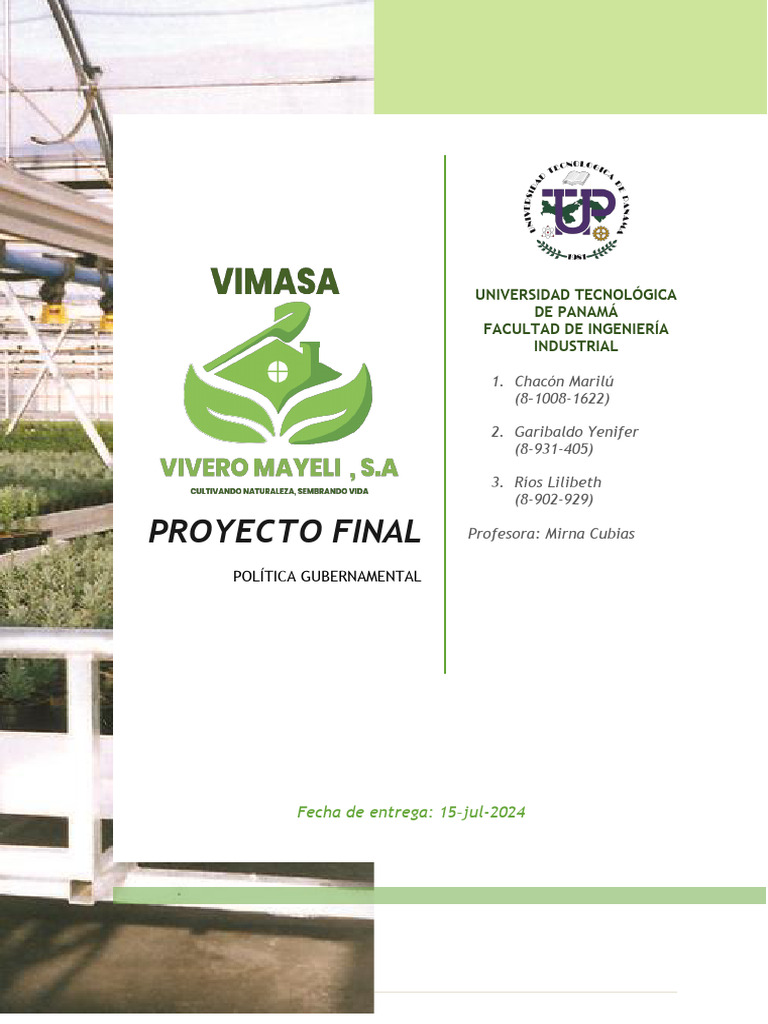 Proyecto Final (VIMASA, S.A.) V - 2024 | PDF | Sustentabilidad | Marketing