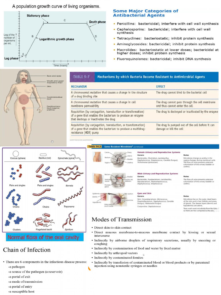 Micp Midterms Lab Exam | PDF