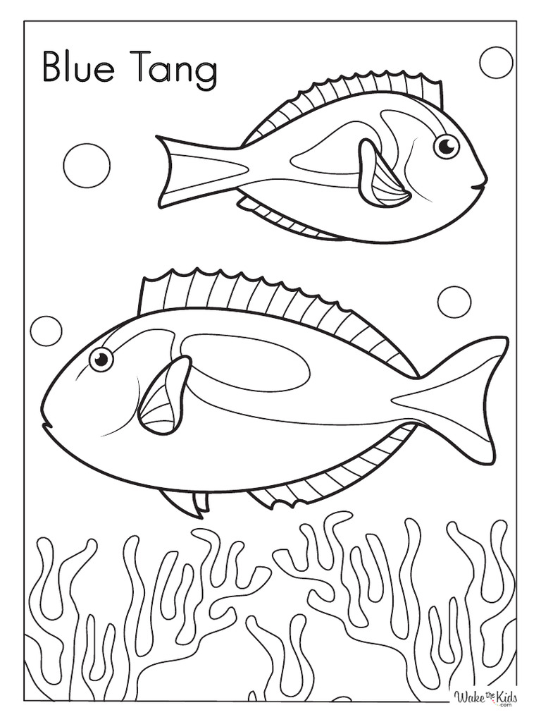 Blue Tang Coloring Page A4 | PDF