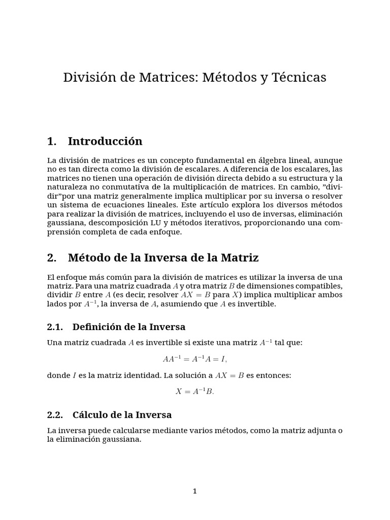 División de Matrices: Métodos y Técnicas | PDF | Matriz (Matemáticas ...