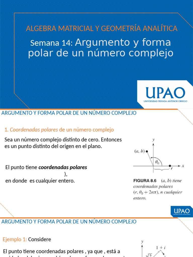 Argumento y Forma Polar de Números Complejos | PDF