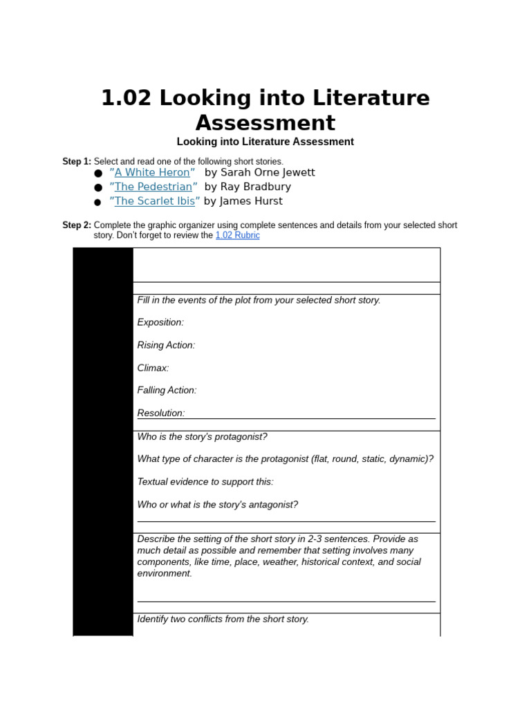 1.02 Looking Into Literature Assessment | PDF