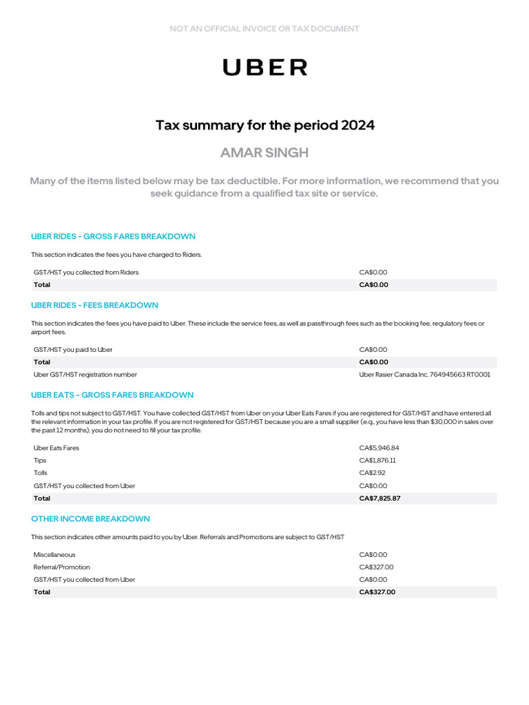 2024 Annual Tax Summary | PDF | Taxes | Fee
