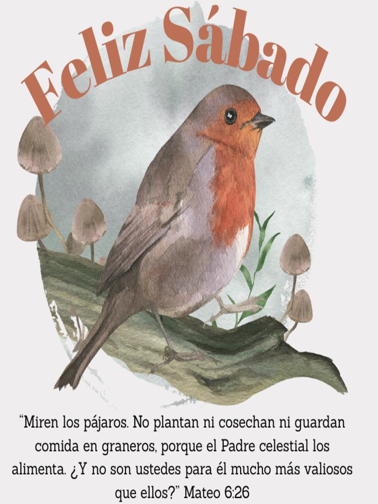 Feliz Sábado | PDF