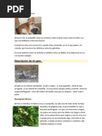 Escribe Descripcion de Mascota-22 Abril | PDF