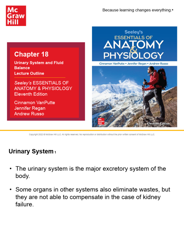 Chapter 18 - Urinary System | PDF | Kidney | Angiotensin