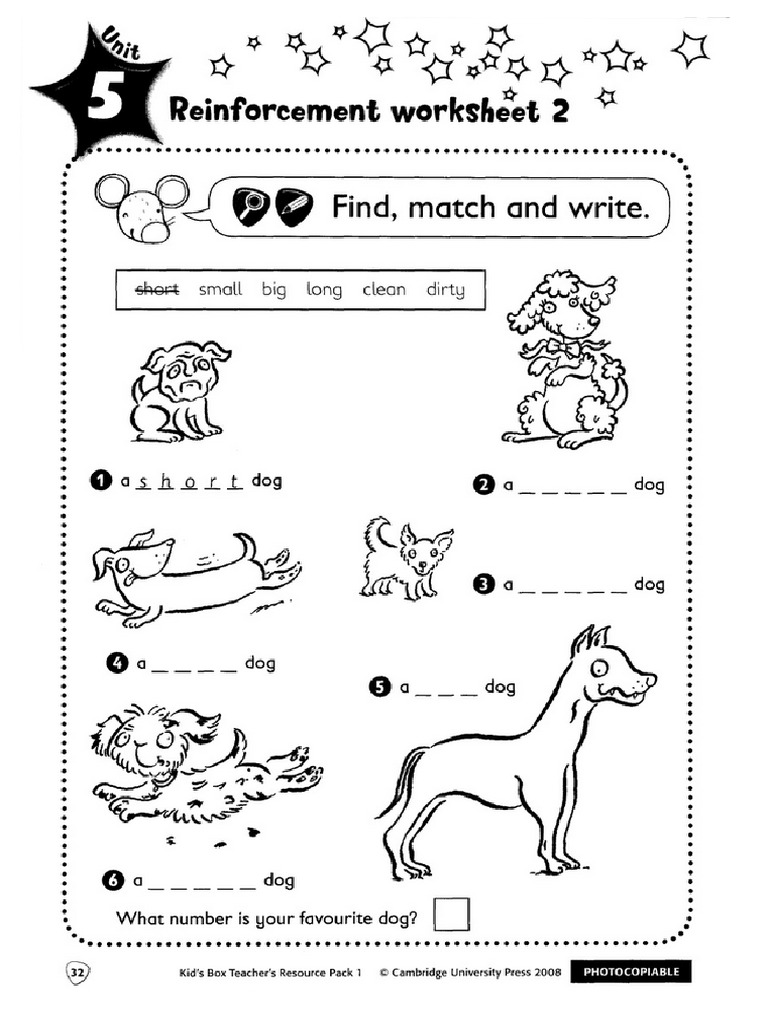 PDF Document 2 | PDF