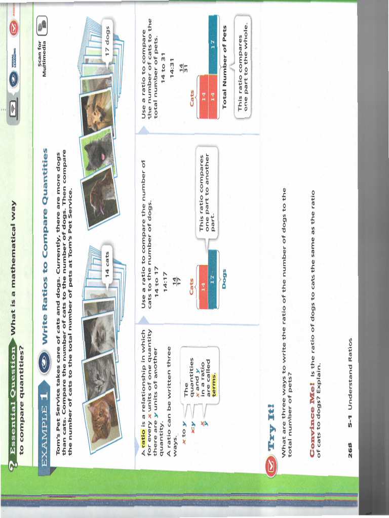 Ratio Pdf