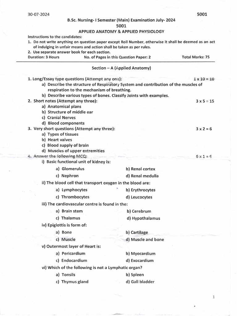 B SC Nursing 1 Semester Main Exam July 2024 ANATOMY & PHYSIOLOGY | PDF