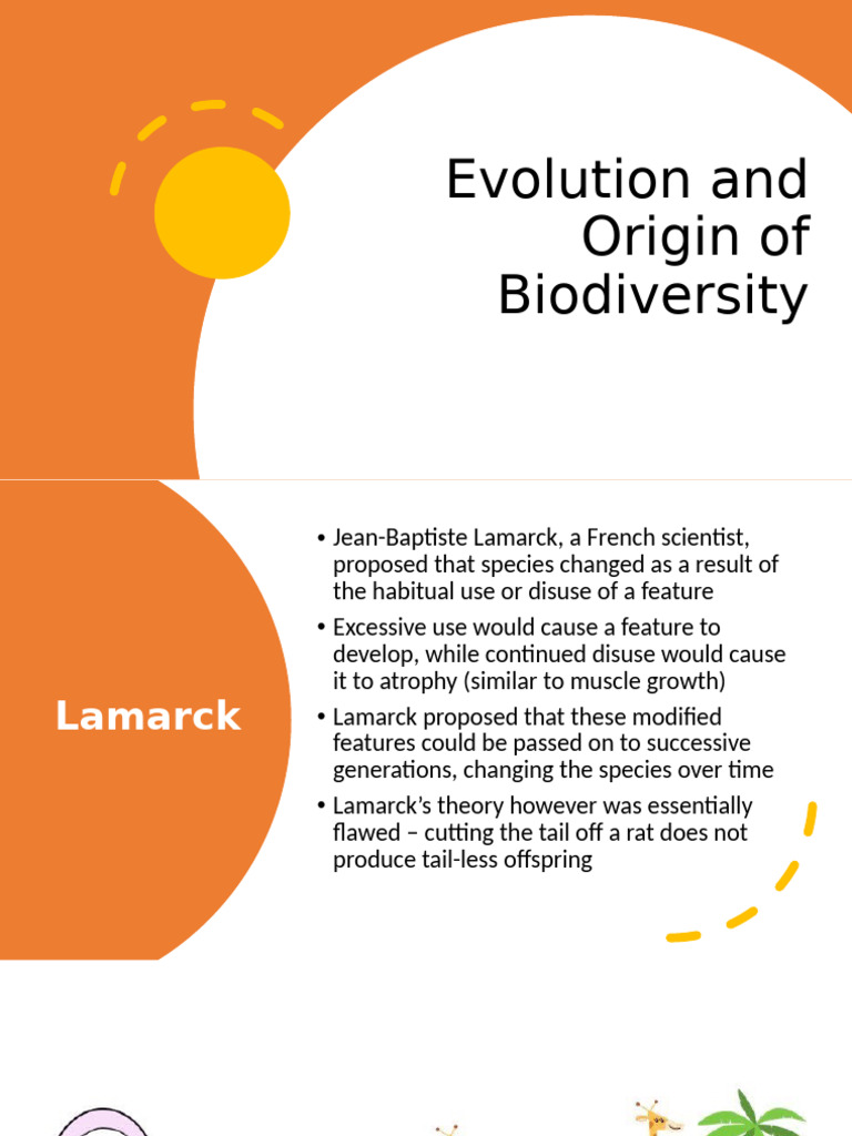 Evolution and Origin of Biodiversity Evidences and Bases | PDF ...